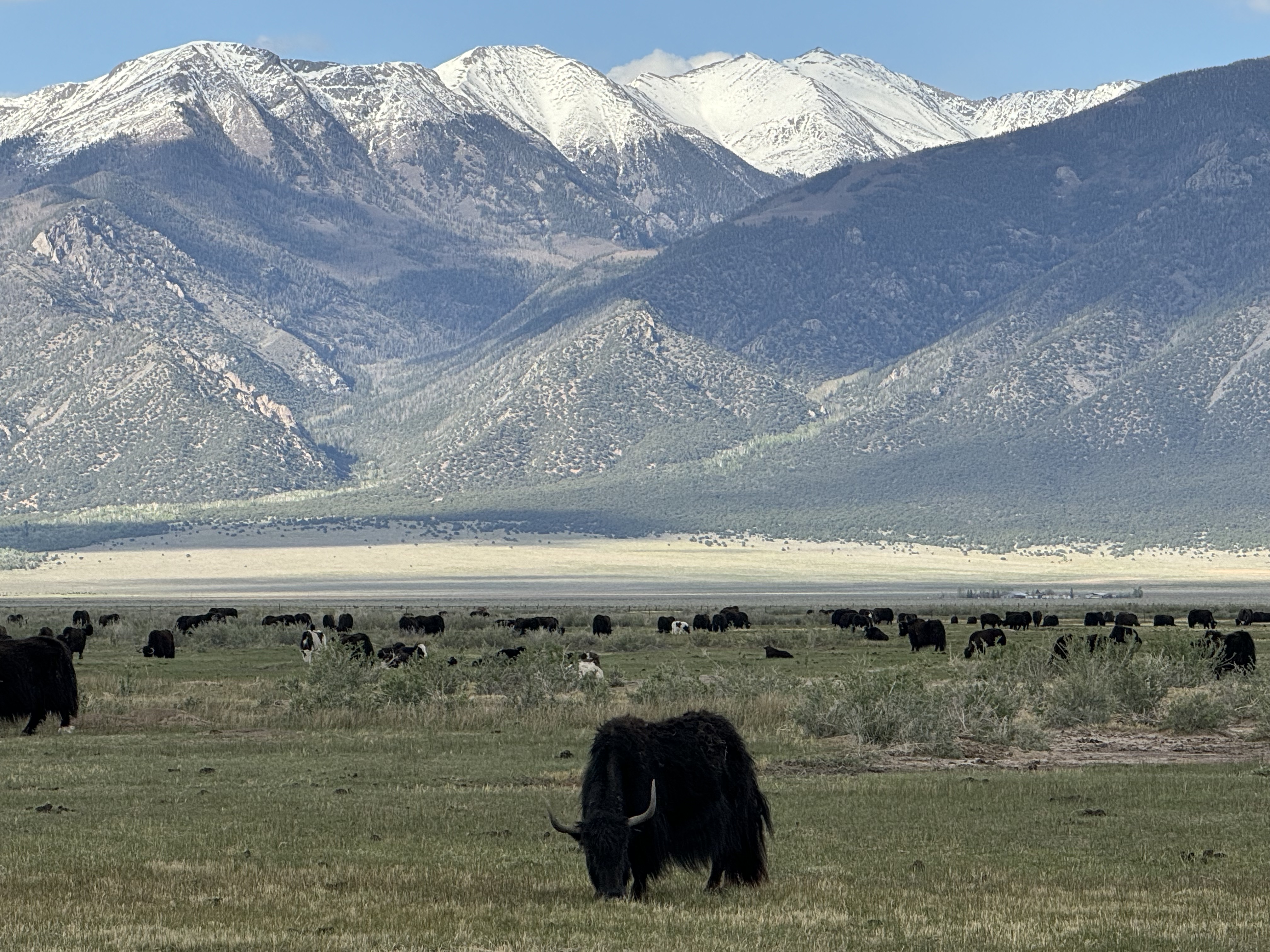 Dome Sweet Dome In Crestone, CO – Ramble Around