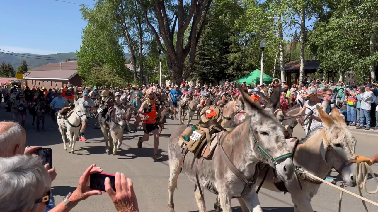 Creede, Colorado Donkey Dash 2024 – Ramble Around