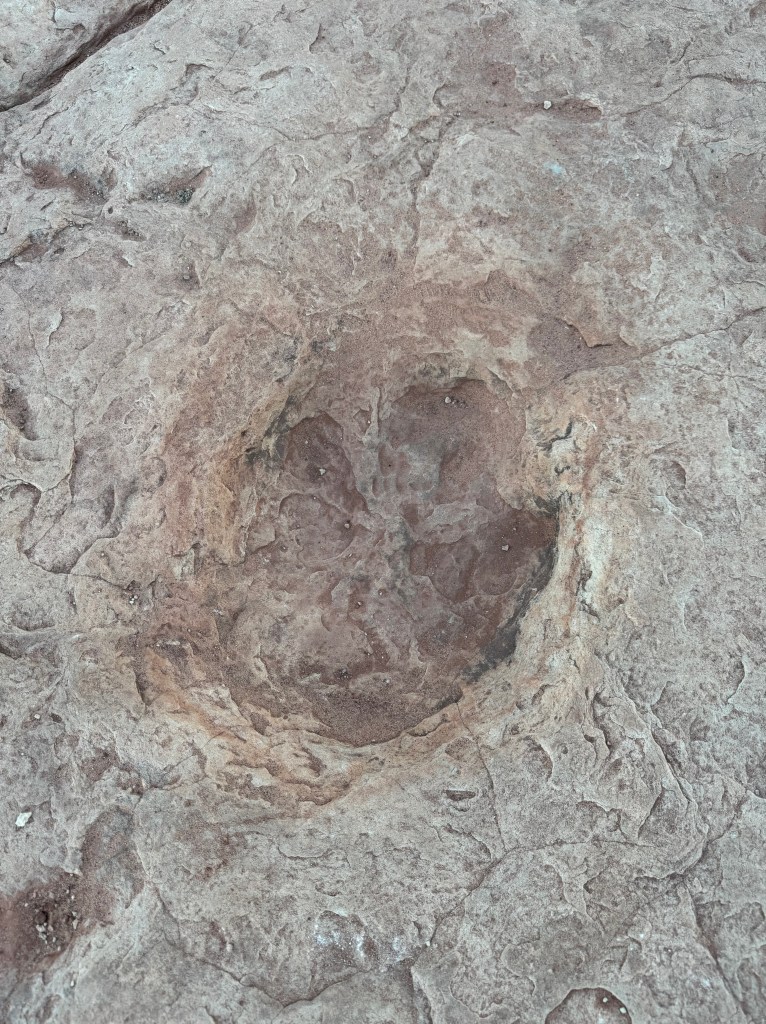 Four Corners Roadtrip Pt. 2 – Off-roading and Arches National Park ...